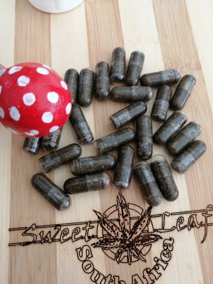 Psilocybin Capsules – Sweet Leaf SA