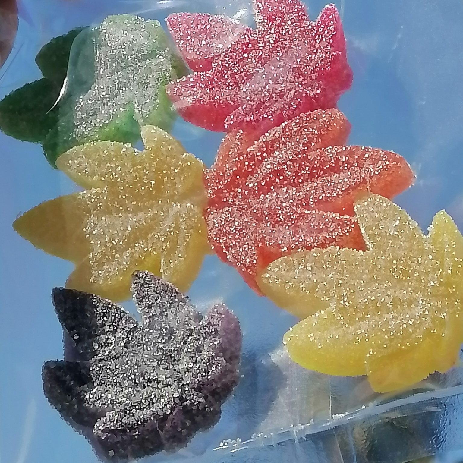 Sweet Leaf Edibles – Sweet Leaf SA